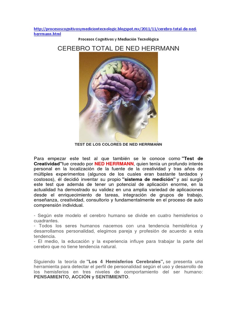 Cerebro Total de Ned Herrmann | PDF | Hemisferio cerebral | Creatividad