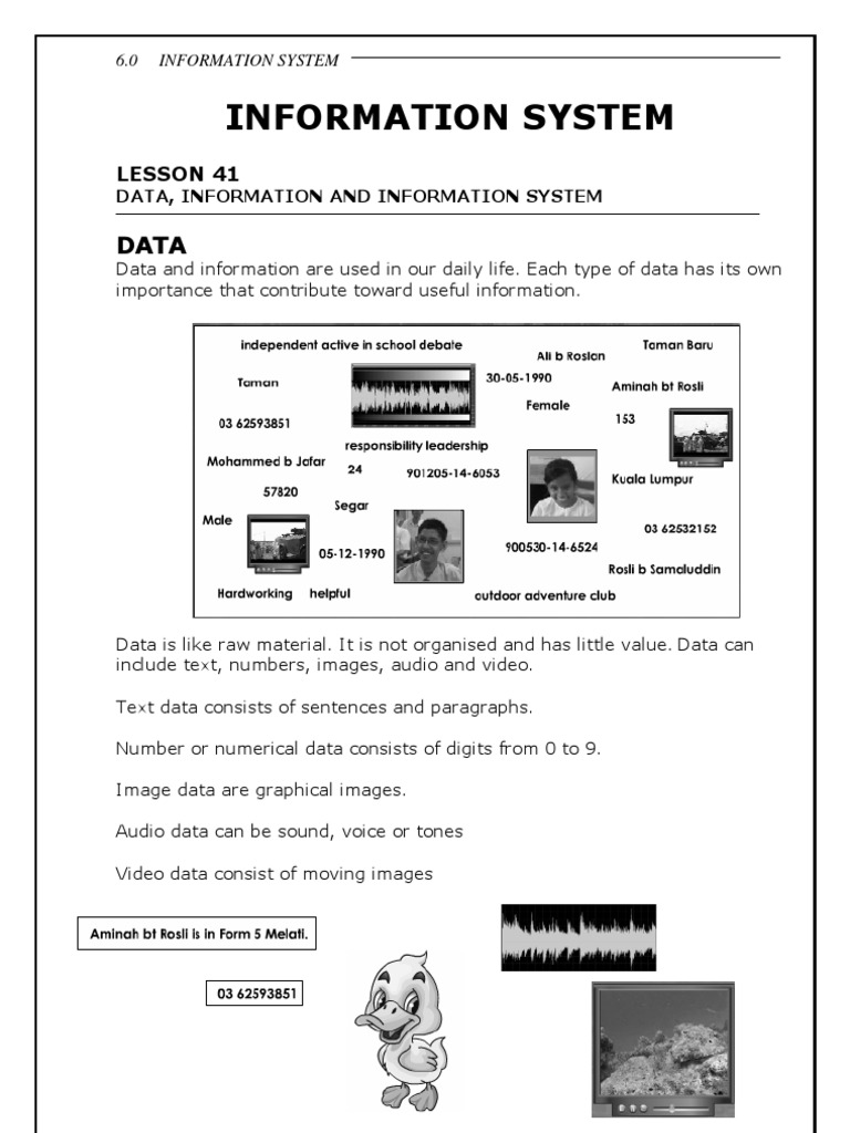 LA6 Information System | PDF | Microsoft Access | Databases