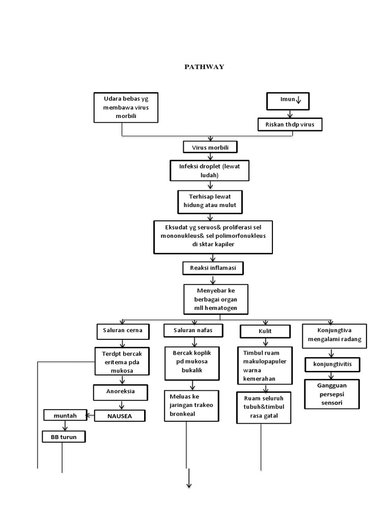 Pathway Morbili | PDF
