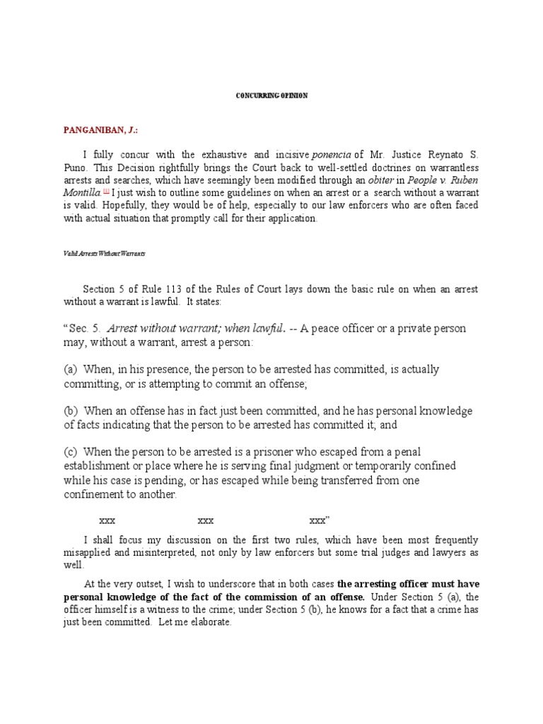 Hot Pursuit | PDF | Search And Seizure | Terry Stop