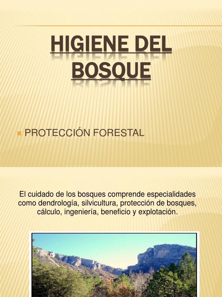 Cuidado y manejo sostenible de los bosques para aprovechamiento ...