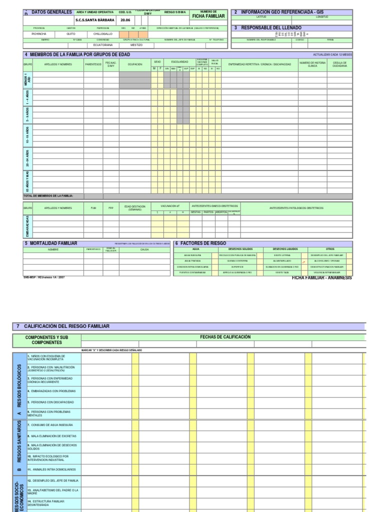 Ficha Familiar MSP: Formato y Ejemplo | PDF | Enfermedades y trastornos ...