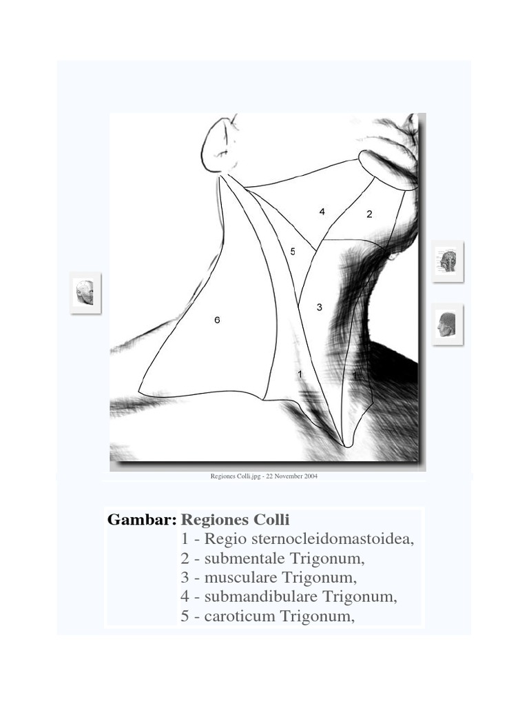 Regiones Colli | PDF