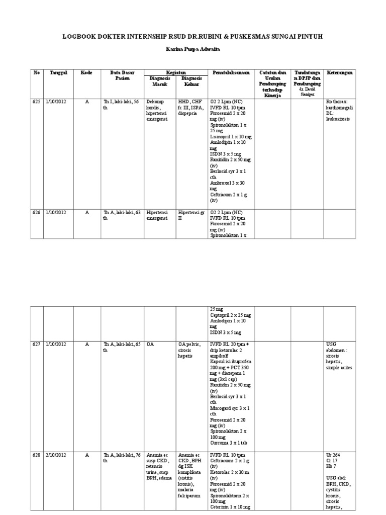 Logbook Internship RSUD Dr. Rubini | PDF