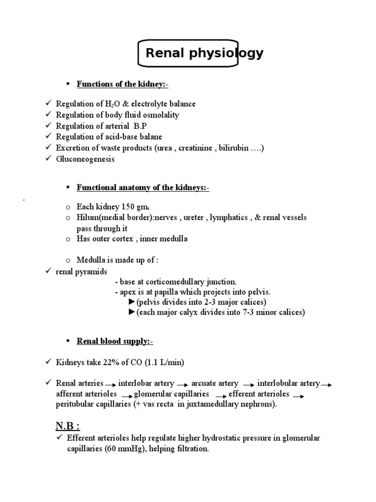 Renal Physiology | PDF | Kidney | Renal Function