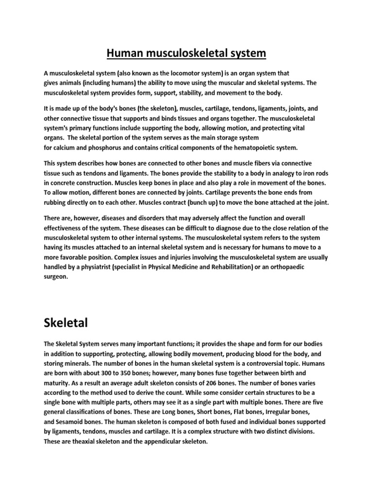 Overview of the Human Musculoskeletal System | PDF | Human ...