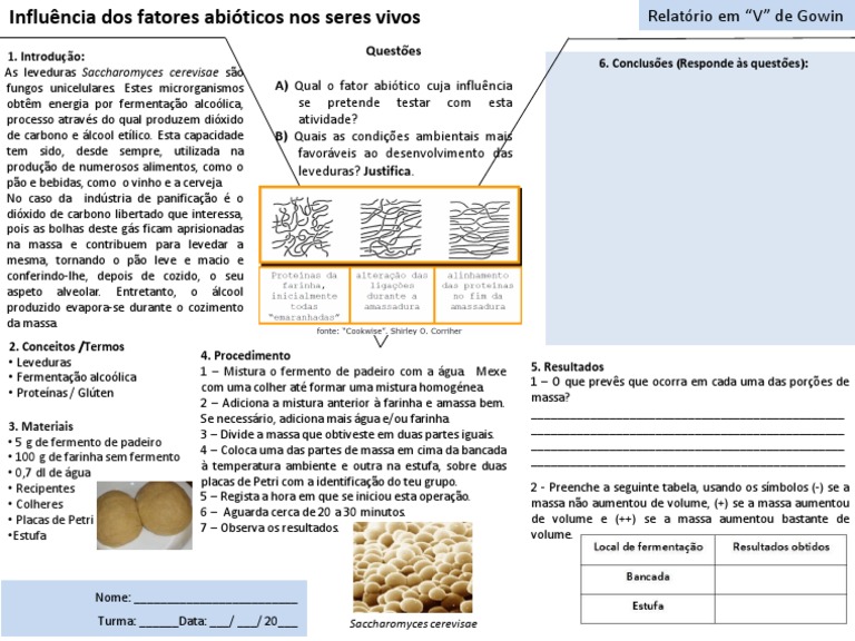 Vgowin Leveduras | PDF
