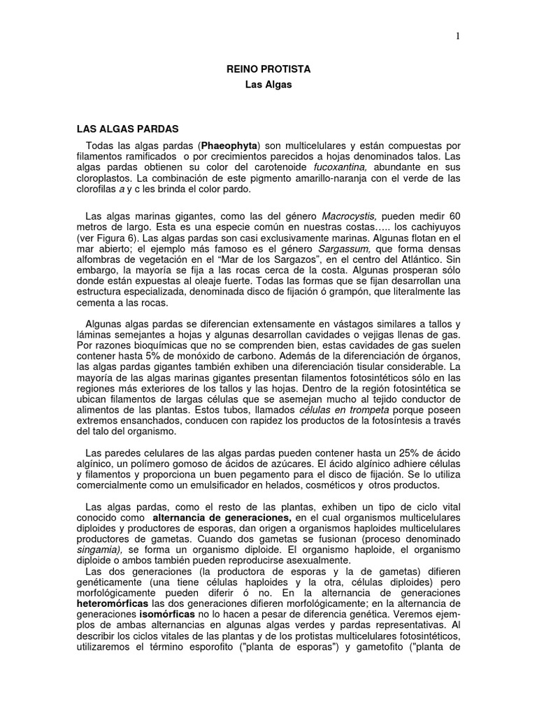 Algas Pardas | PDF | Algas | Espora
