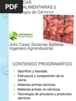 Visita Al Rastro | PDF | Carne | Matadero