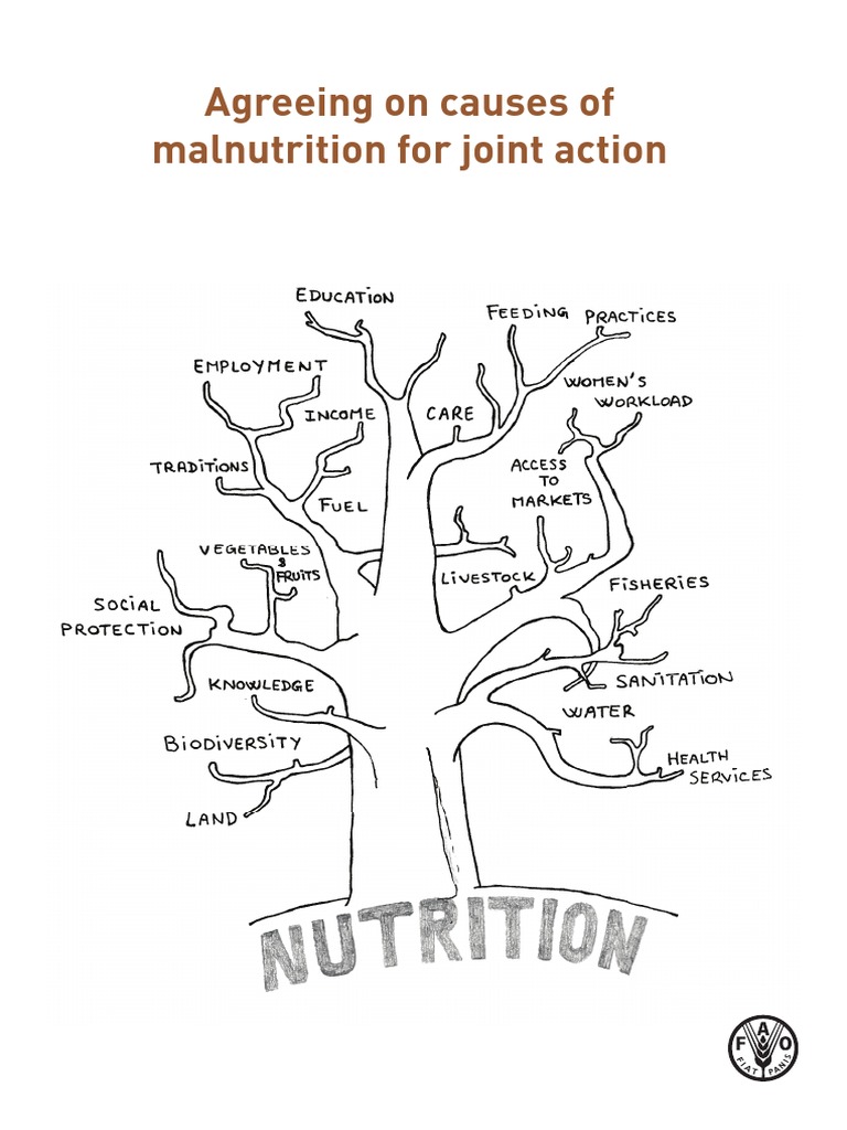 Malnutrition Problem Tree PDF | PDF | Millennium Development Goals ...