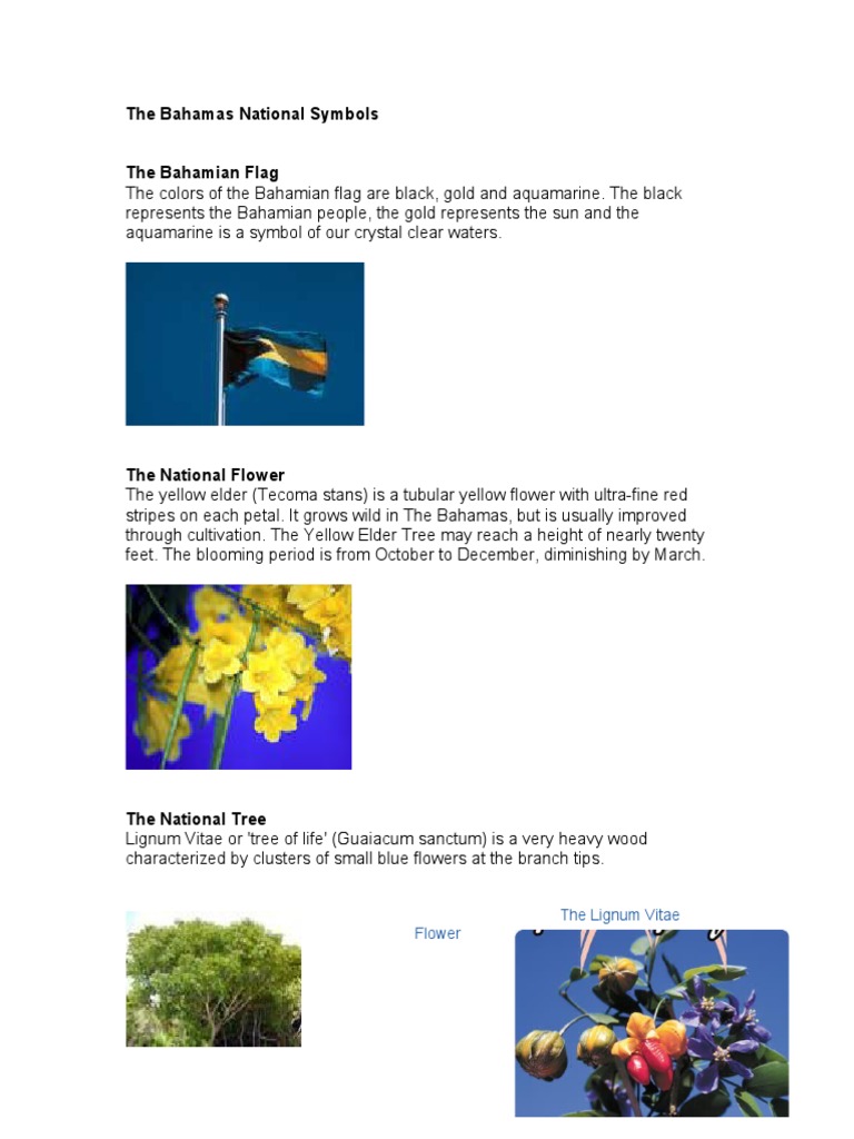 The Bahamas National Symbols | PDF | The Bahamas | Symbols