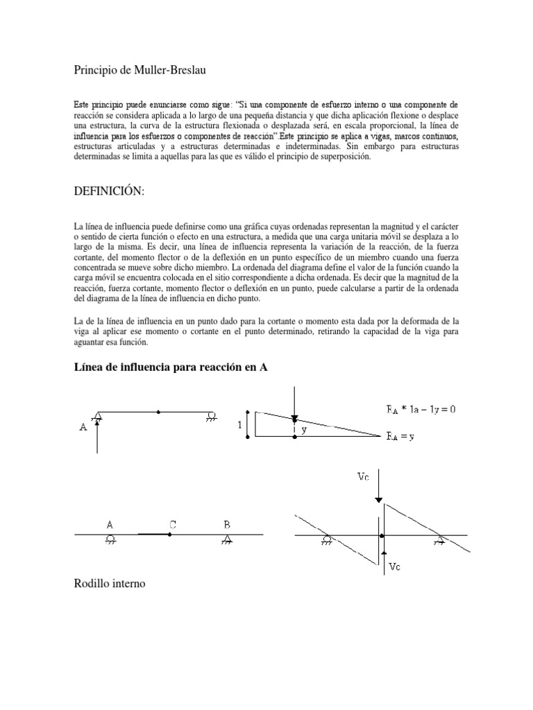 Principio de Muller | PDF | Función (Matemáticas) | Mecanica clasica