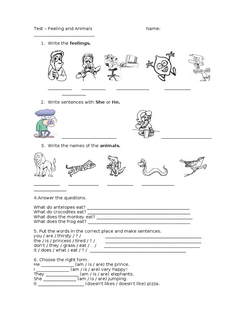 Test Feelings and Animals | PDF
