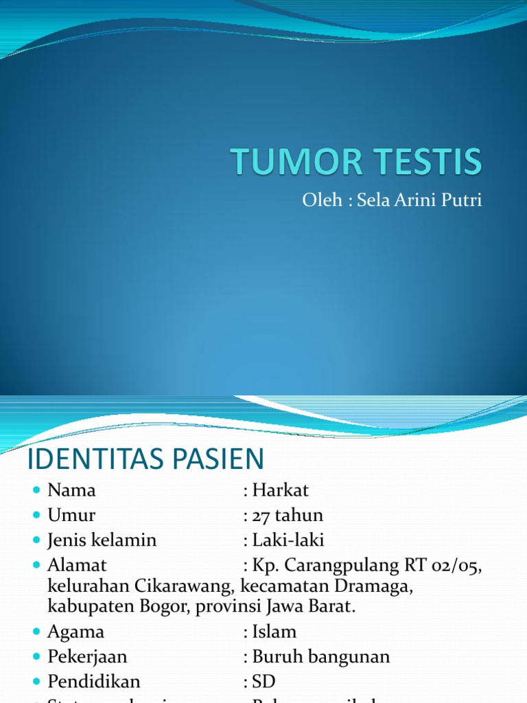 Tumor Testis | PDF