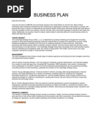 A Detailed Sample Micro Lending Business Plan Template | PDF | Small ...