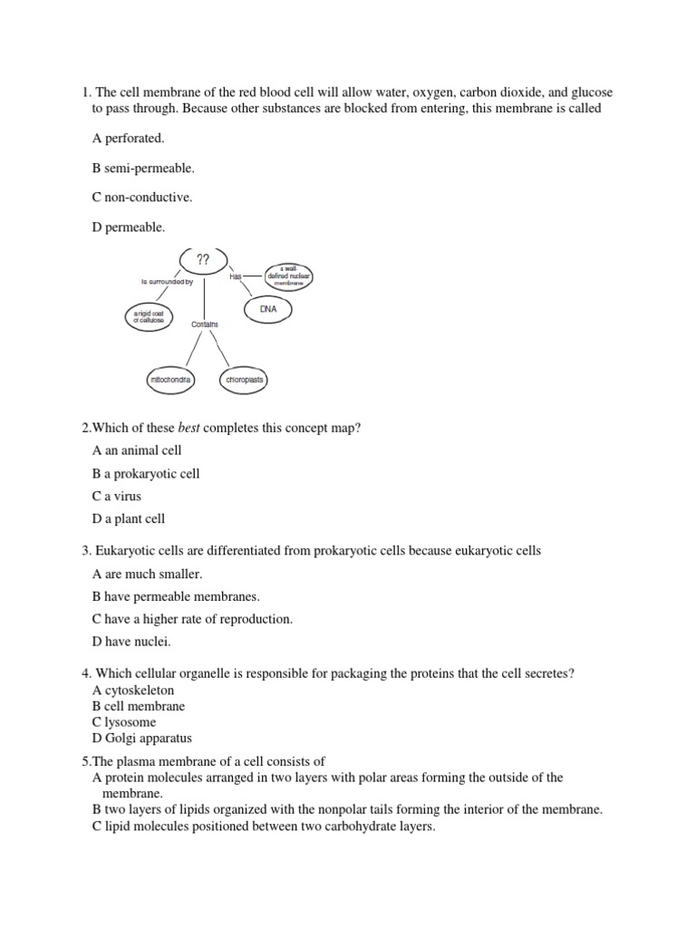 Cell MCQ | PDF | Cell (Biology) | Cell Membrane
