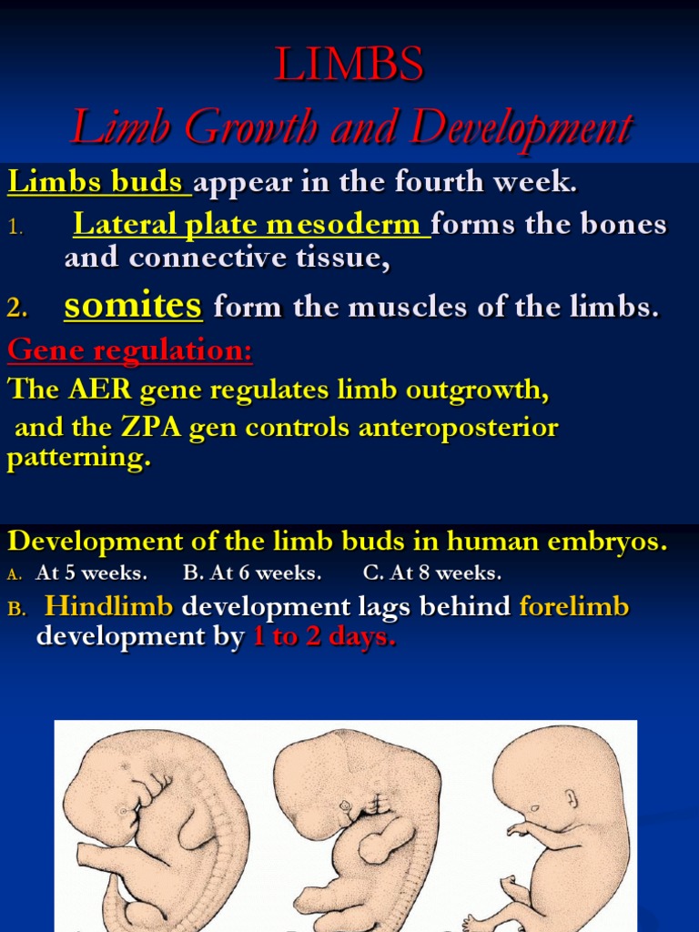 Meromelia Vs Phocomelia