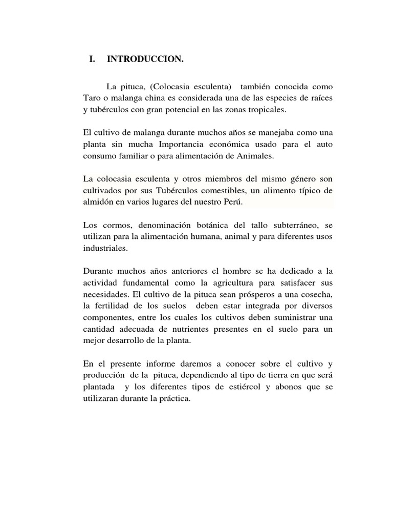 Cultivo y Beneficios de la Pituca | PDF | Agricultura | Suelo