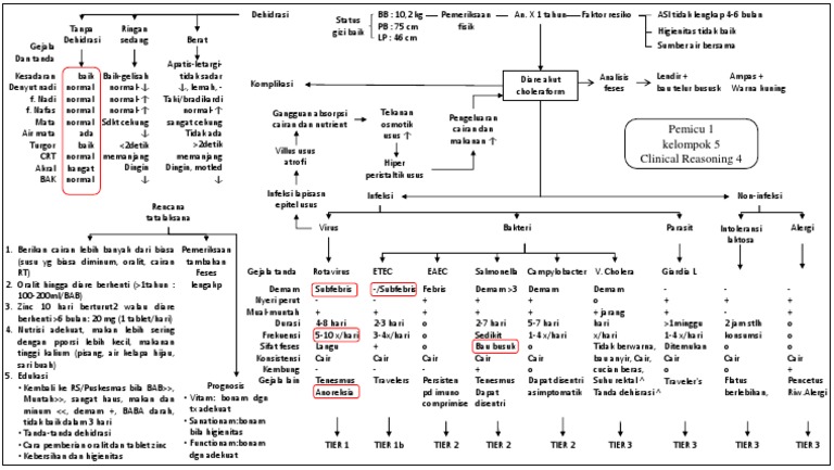 Mind Map Pemicu 1 Diare Anak | PDF