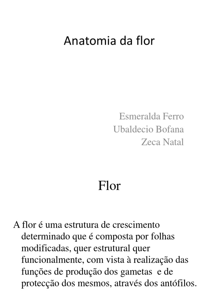 Anatomia Da Flor-Apresentacao | PDF | Flores | Reprodução