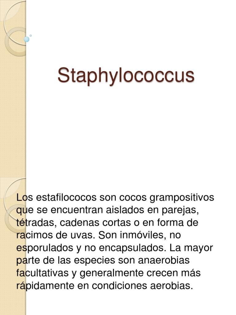 Staphylococcus | PDF | Staphylococcus Aureus | Microbiología