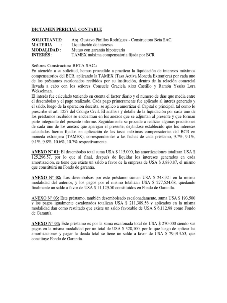 Dictamen Pericial Contable Pdf Liquidación Pagos