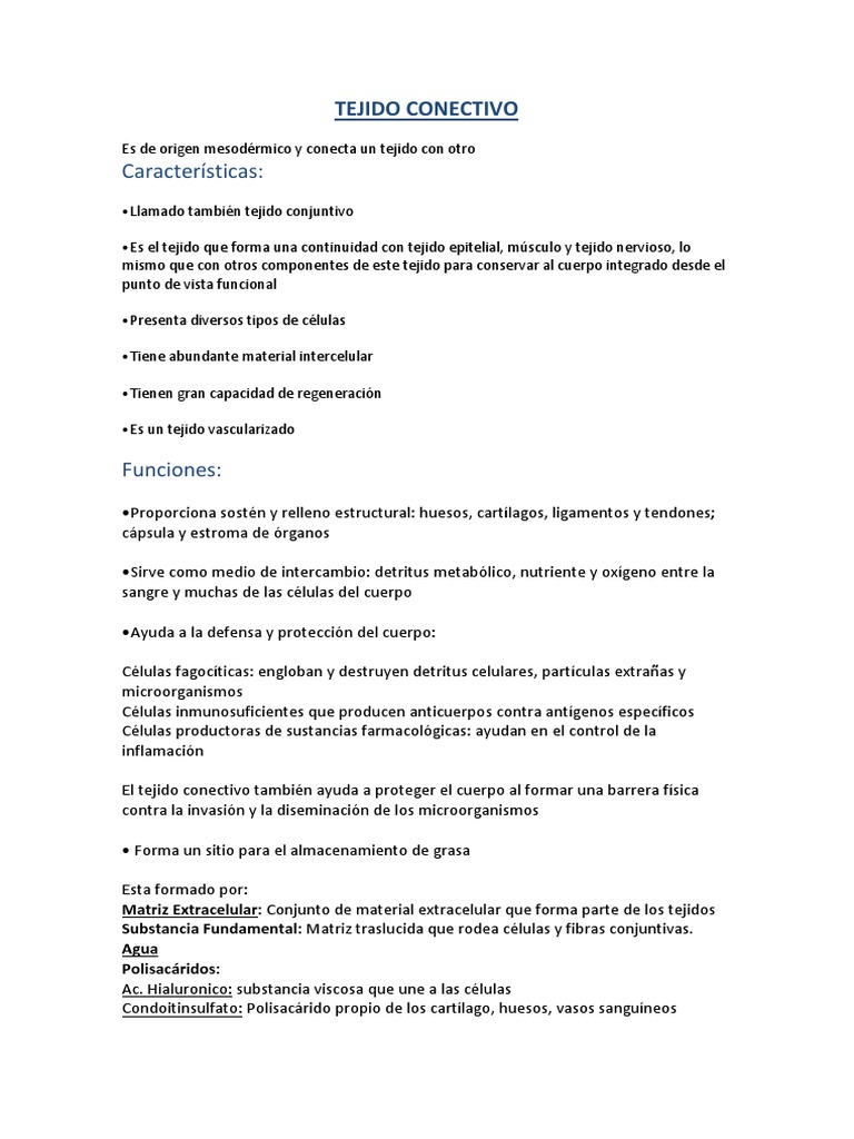 Resumen de Tejido Conectivo | PDF | Tejido conectivo | Biología Celular