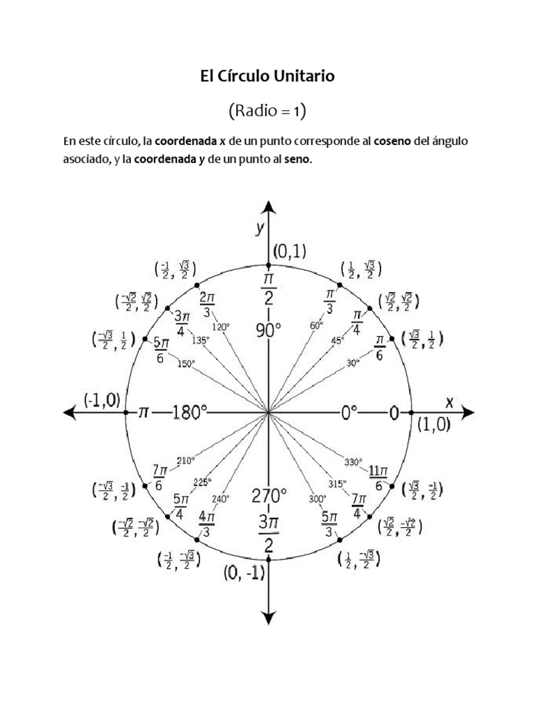 Hoja De Trabajo Trigonométrica De Círculo Unitario