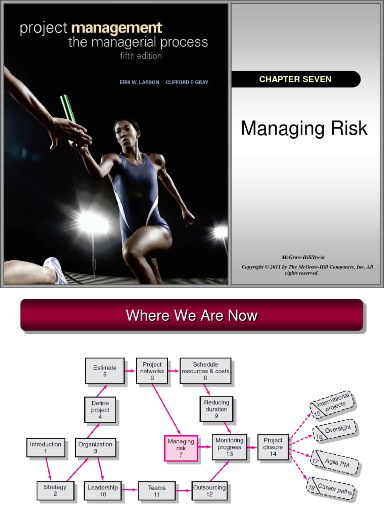 Chapter 7 - Managing Risk | PDF | Risk | Risk Management