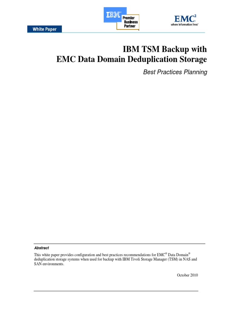 H8065 Ibm Tsm Backup Data Domain Wp Pdf Backup Computer Data Storage