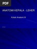 Anatomi Regio Kepala dan Leher | PDF