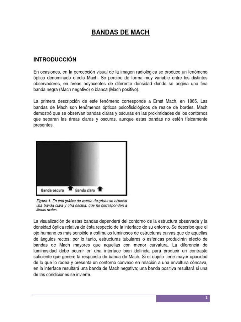 Bandas de Mach | PDF | Retina | Percepción visual