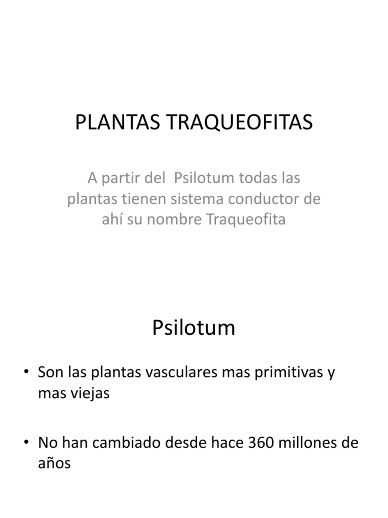 Plantas Traqueofitas | PDF