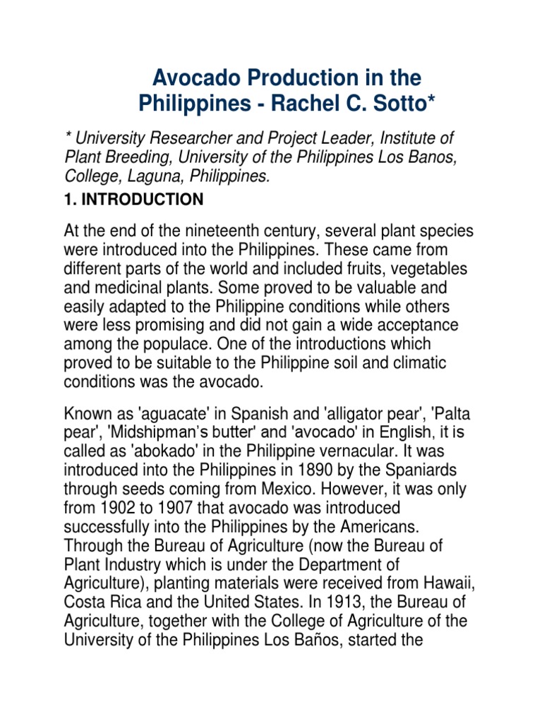 Avocado Production in The Philippines | PDF | Avocado | Grafting