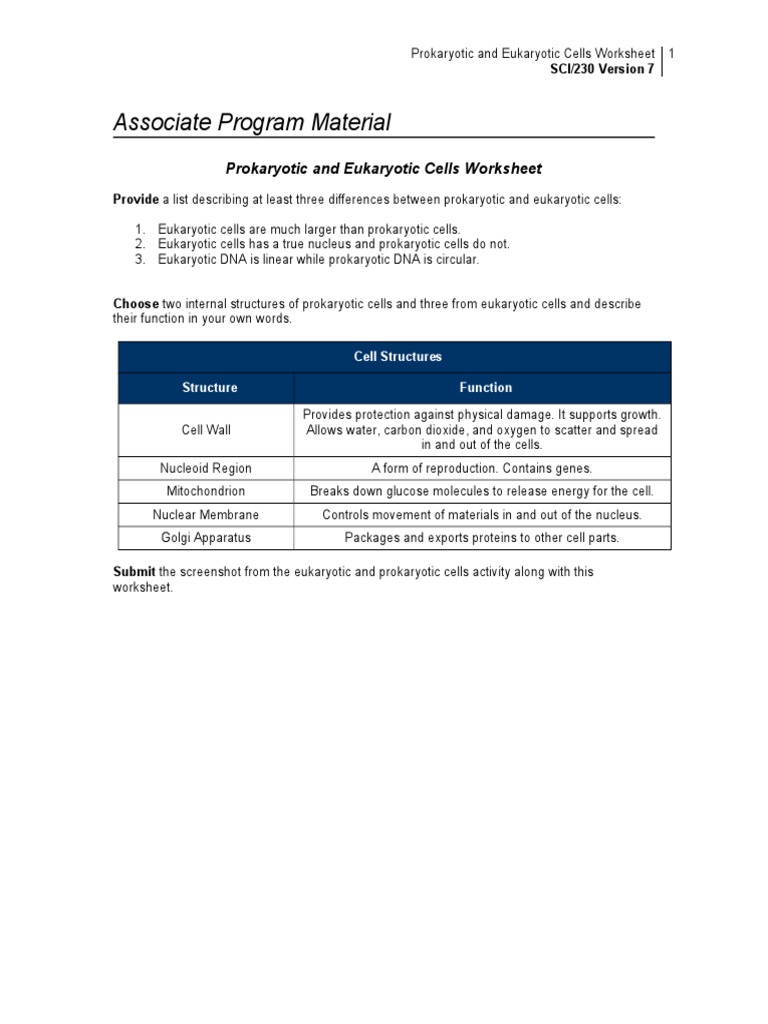Prokaryotic and Eukaryotic Cells Worksheet | PDF