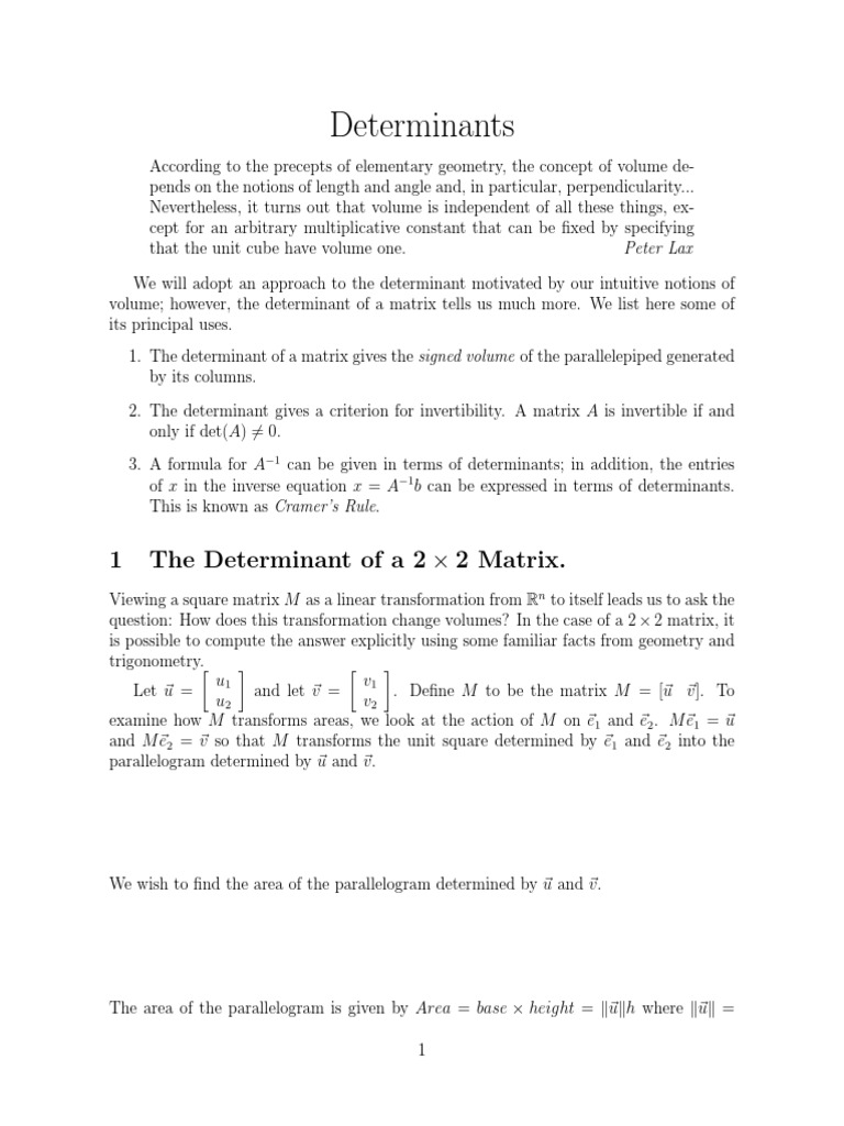Matrix Determinants Explained | PDF