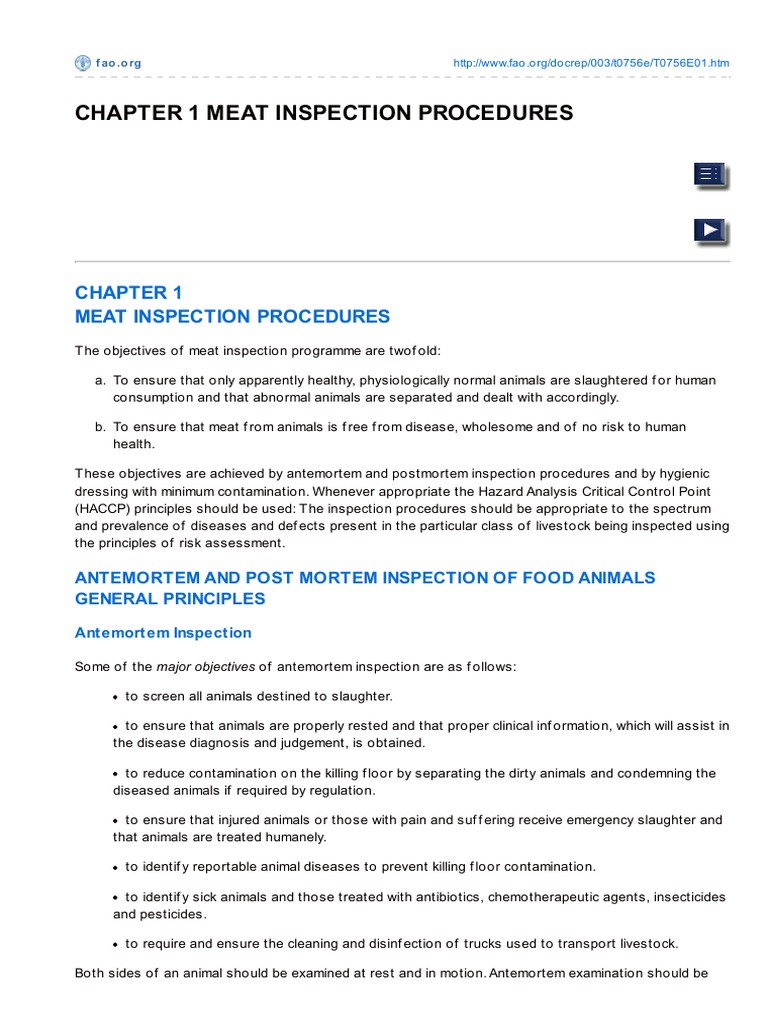 Chapter 1 Meat Inspection Procedures | PDF | Animal Slaughter | Meat