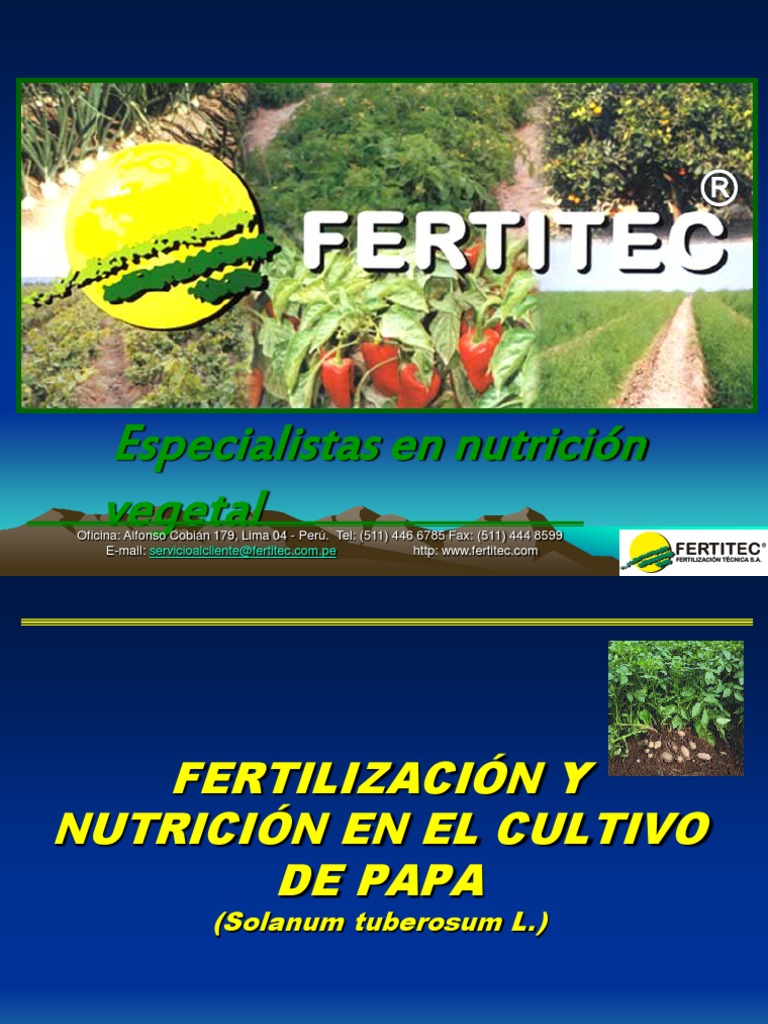 Fertilizaci N y Nutrici N en El Cultivo de Papa 2006 | PDF | Nutrición Vegetal | Patata