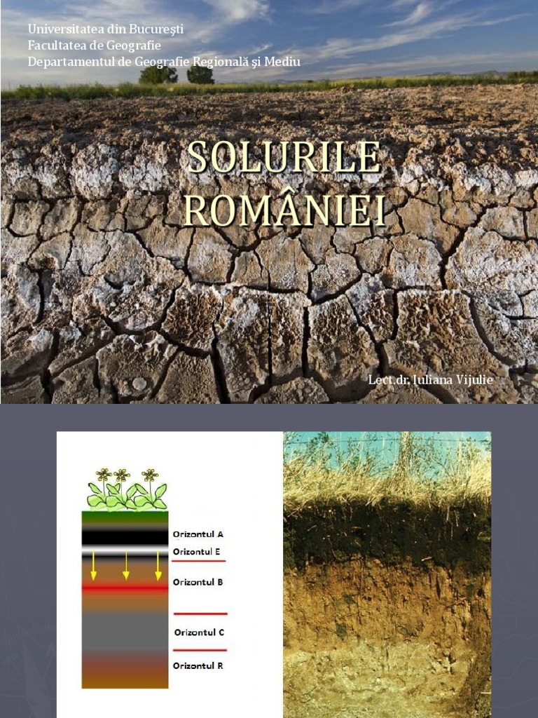 Solurile Romaniei | PDF