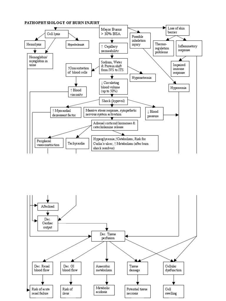 Burn Injury Pathophysiology Overview | PDF | Shock (Circulatory) | Burn