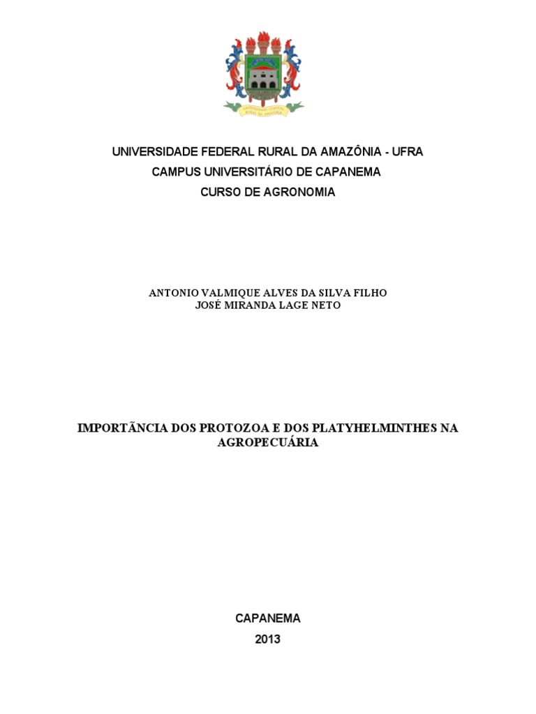 Exemplo Capa e Contra Capa ABNT | PDF