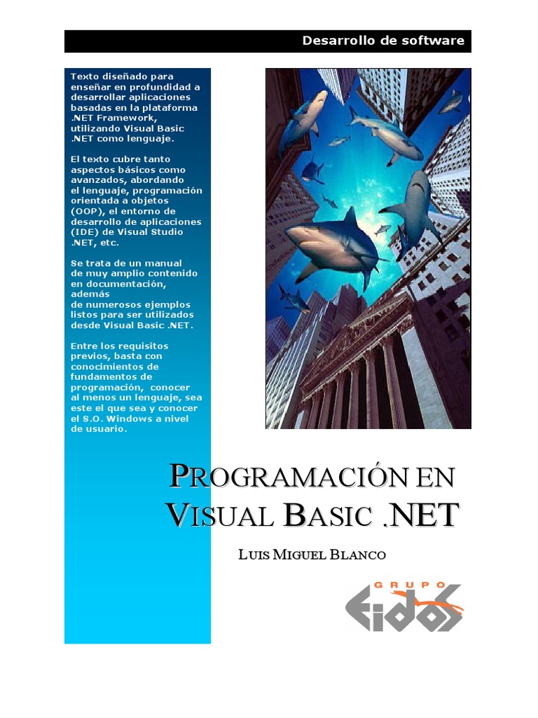 Grupo Eidos - Programacion Visual Basic NET PDF | PDF