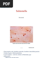 Klasifikasi Salmonella Kauffman | PDF | Serotype | Salmonella