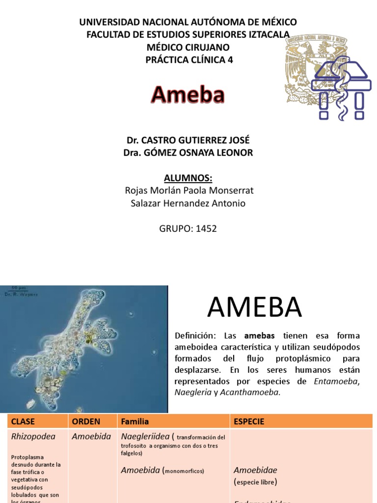 Ameba | PDF | Diarrea | Heces