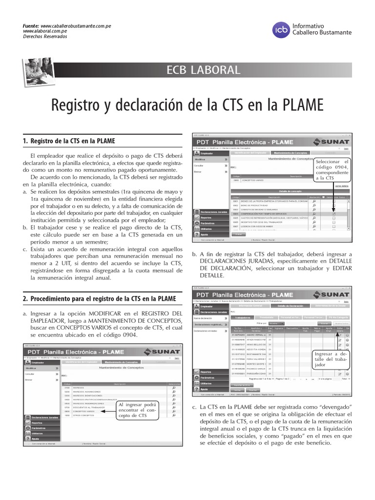 Declarar CTS en El PLAME | PDF | Salario | Pensión
