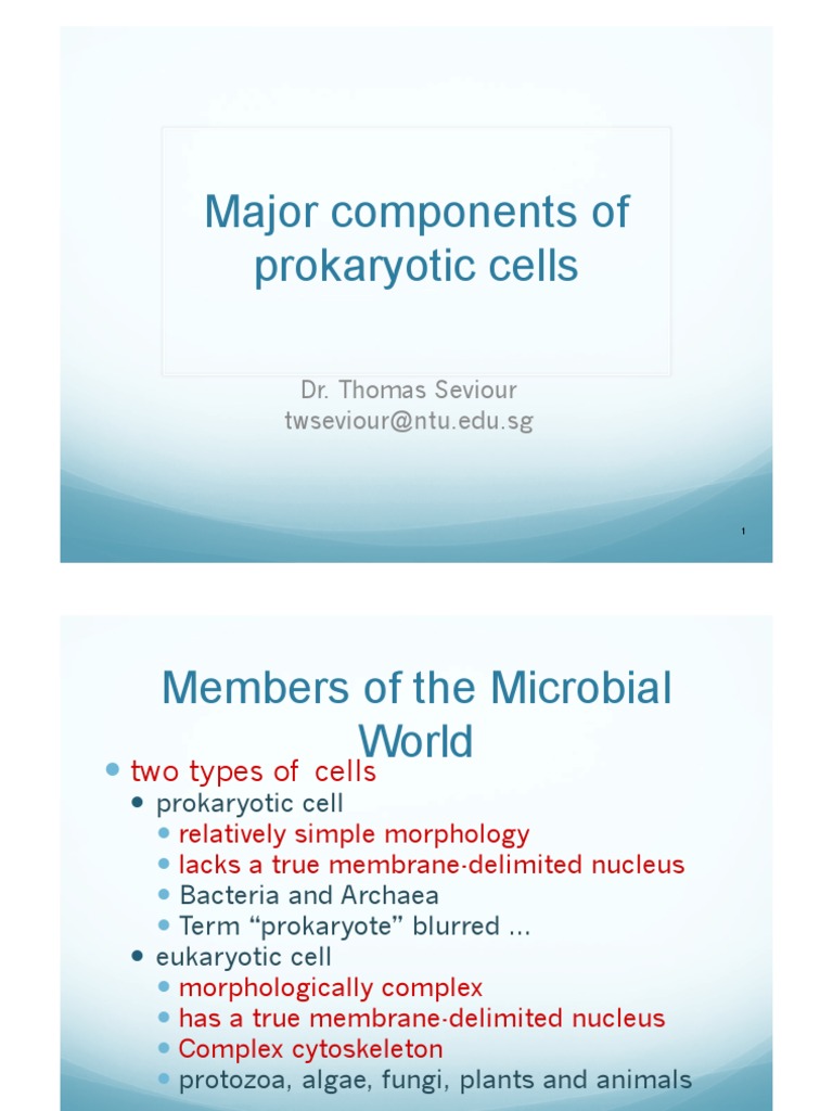 Members of the microbial world | Cell Membrane | Lipopolysaccharide