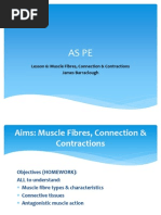 BTEC Sport Level 3 Revision Guide Muscular System | PDF