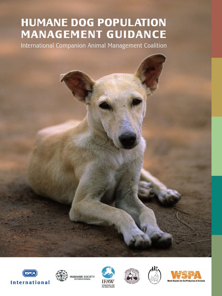 ICAM Dog Population Management Guidance | PDF | Animal Welfare | Dogs