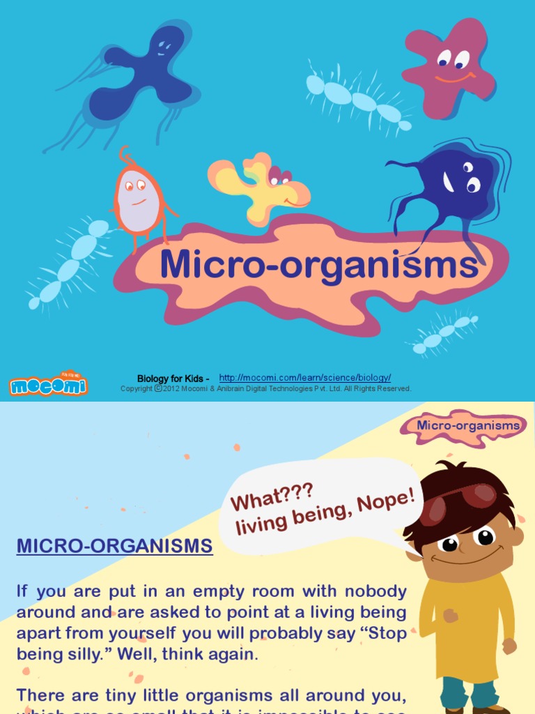 Microorganism Facts For Kids | PDF | Microorganism | Pathogen