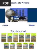 Overview of Wireline Logging Services | PDF | Infrastructure | Engineering